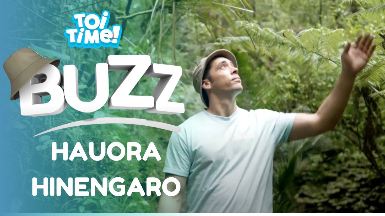 Toi Time | Buzz's Adventures | Hauora Hinengaro - YouTube