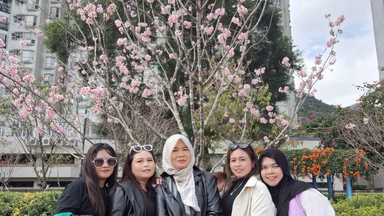 Ngabuburit ke on king street park lihat indah nya cherry bloosom ...