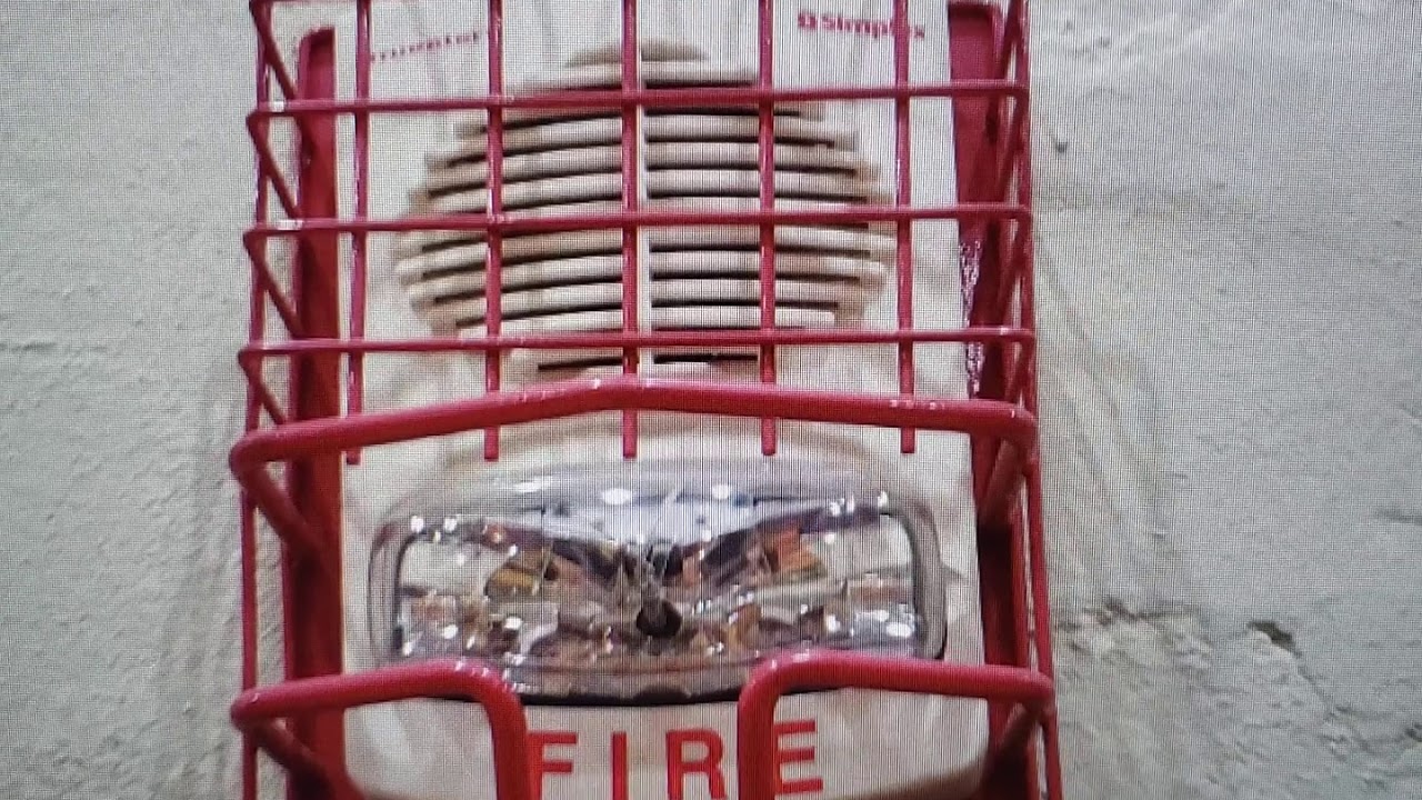 Simplex TrueAlert Fire Alarm Speaker at Ensworth High School - YouTube