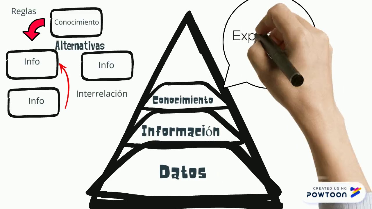 Piramide de la Informacion - YouTube