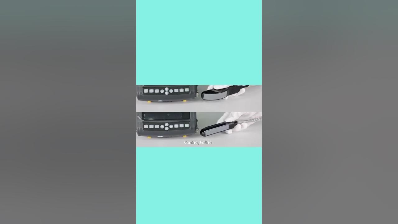 Full digital B mode ultrasonic diagnostic instruments KX5200 VET USE - YouTube