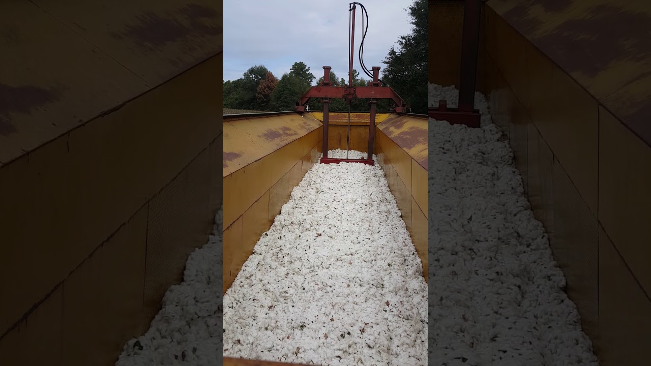 Packing cotton module - YouTube