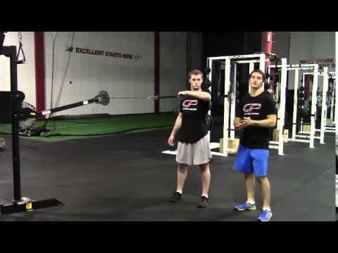 Standing Cable External Rotations in the Scapular Plane with 90 Degrees ...