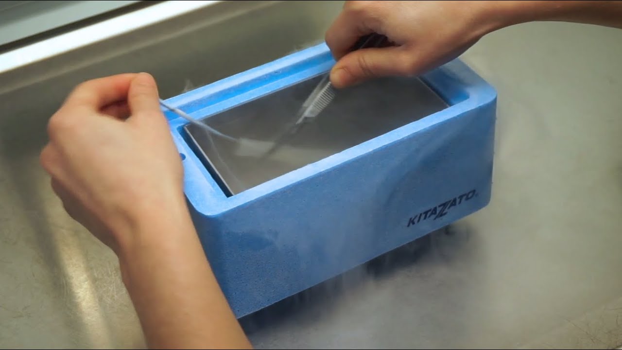 Cryotop® Storage - Vitrification & Warming - YouTube