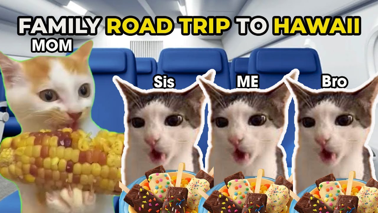 CAT MEMES FAMILY ROAD TRIP TO HAWAII - YouTube