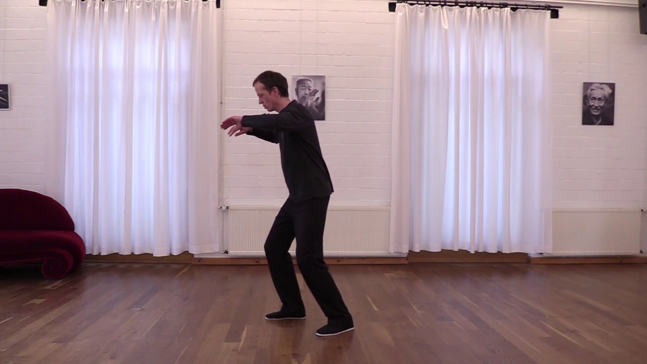 Tai Chi 8 Movements - Posture 6 - Push - YouTube