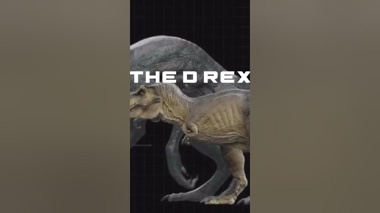 the d rex## - YouTube