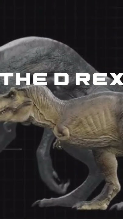 the d rex## - YouTube