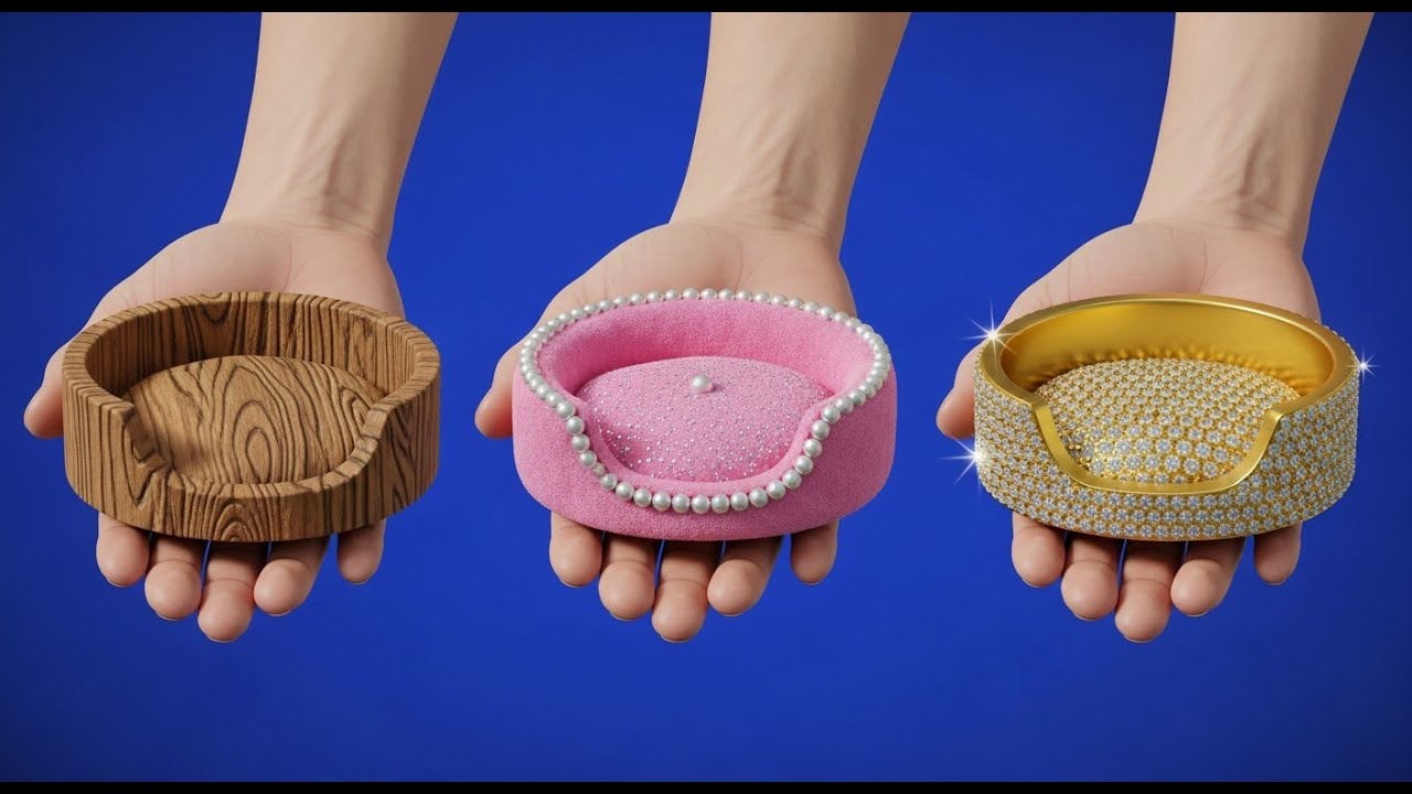 A Dog Was Adopted by a Billionaire Family | Life of Rich VS Poor Pets ...