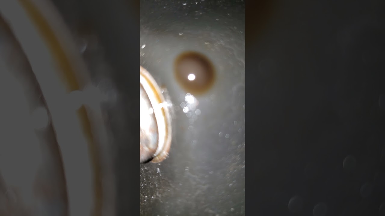 2004 Ford Ranger Oil leak? Rear Main Seal? - YouTube