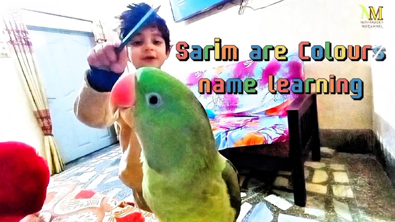 Sarim are Colours Name Learning/Muhammad Muzammil - YouTube