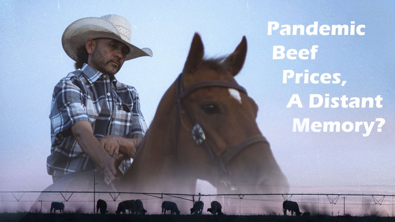 Pandemic Beef Prices, a Distant Memory? [Documentary] - YouTube
