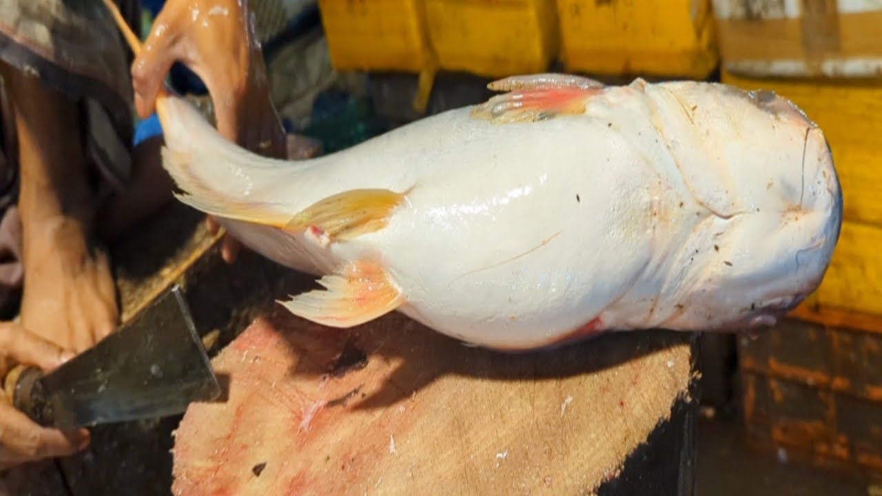 Incredible Giant Pangas Fish Cutting Skills In Bangladesh Local Fish Market By Expert Fish ...
