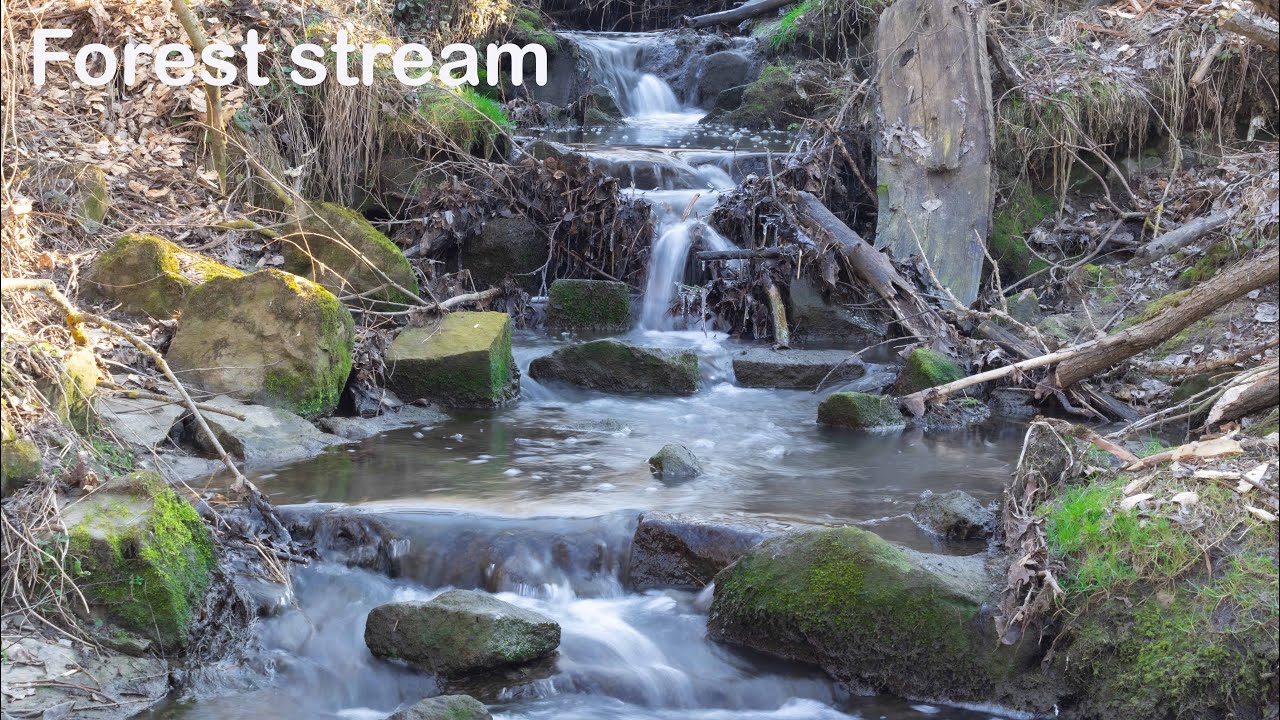 Forest Stream Sounds I Waterfall Sounds I Stream for Sleep and Relax ...