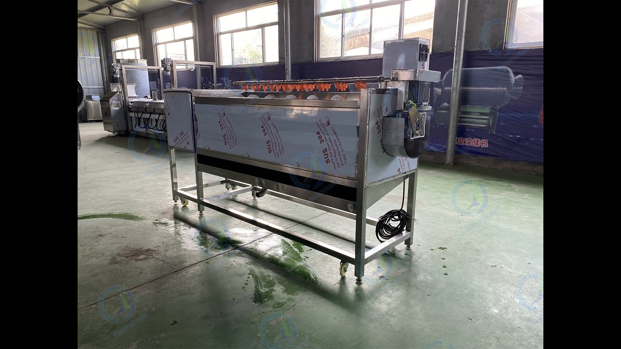 Brush washing peeling machine with screw-LIZA - YouTube