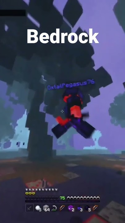 Java Combat system vs Bedrock #minecraft #funny - YouTube