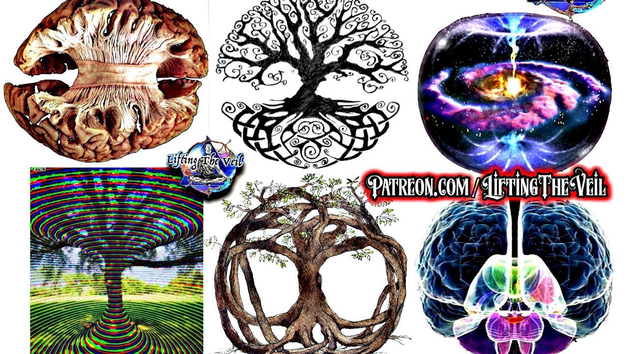 Mind Blowing Secrets of the Tree of Knowledge! Your Pineal Gland ...