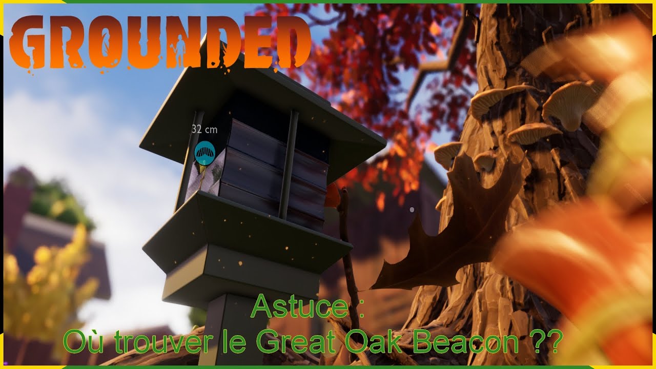 Astuce - Grounded : Où trouver le marqueur Great oak beacon !! - FR ...