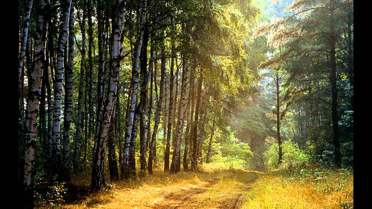 Boards of Canada - Forest Moon - YouTube