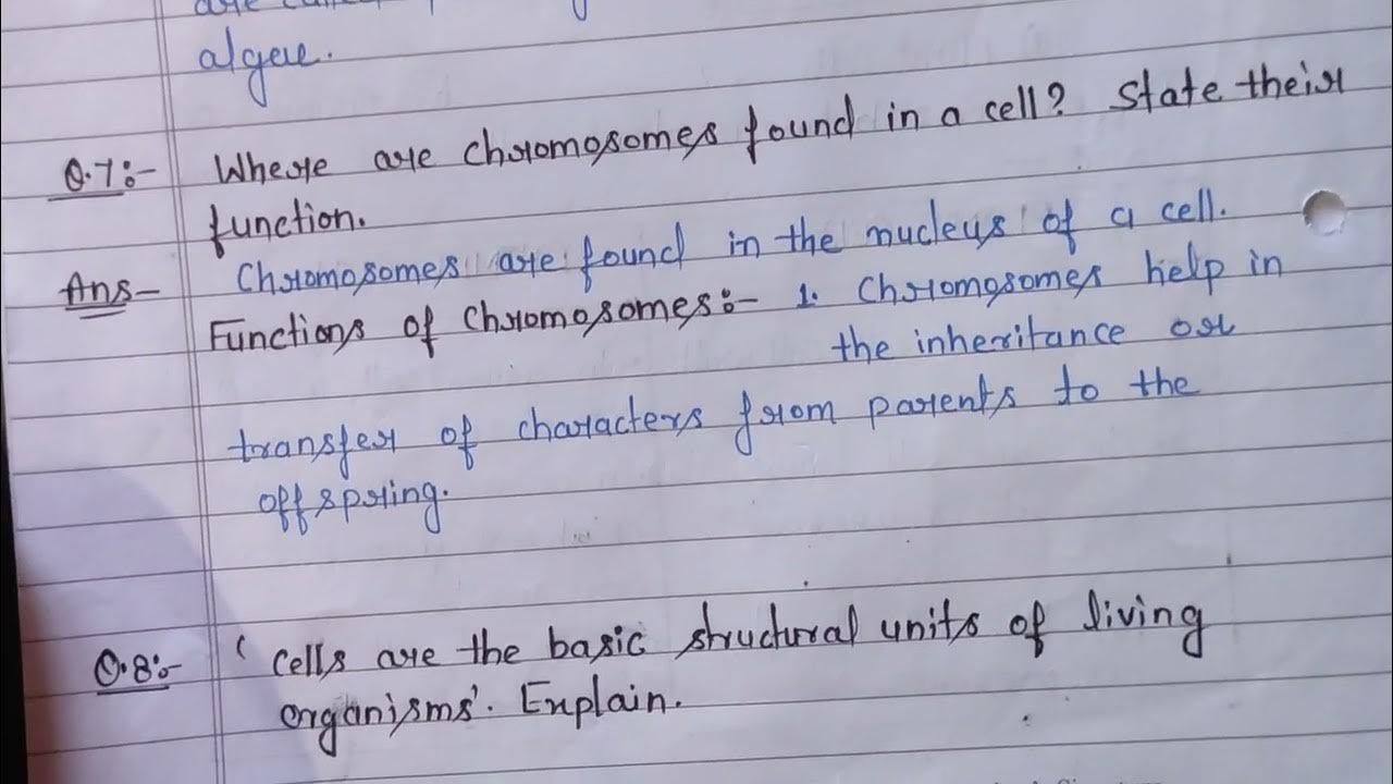 Ch.8 Cell : Structure and Functions, Class - 8 ( NCERT ) - YouTube