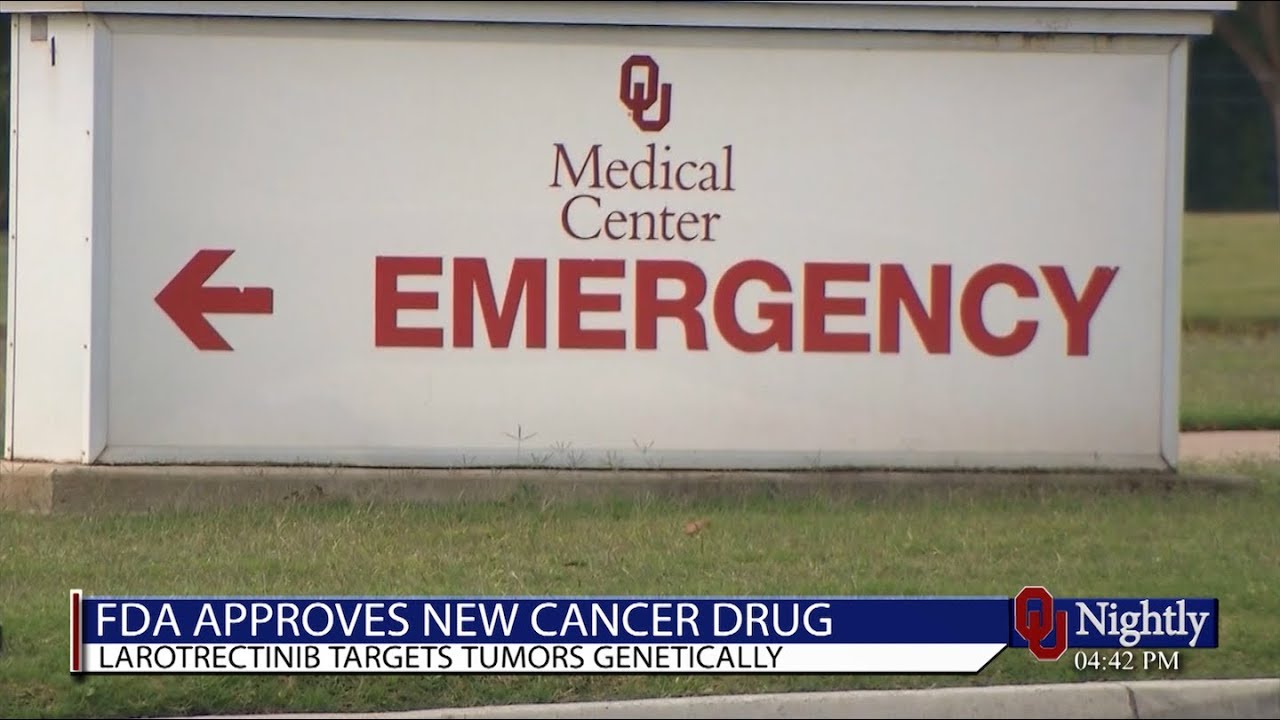 Thursday Newscast November 29th 2018 - YouTube