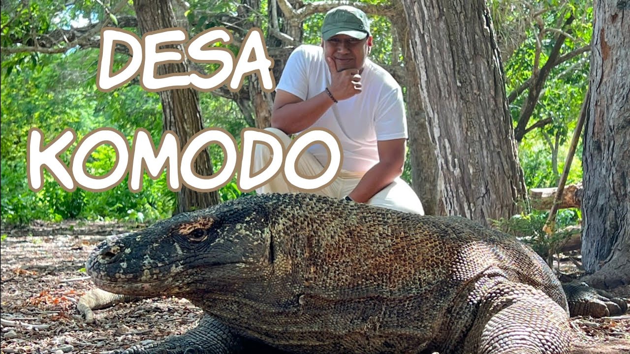 KELILING DESA KOMODO | LAGI JALAN-JALAN GA SENGAJA KETEMU KOMODO - YouTube