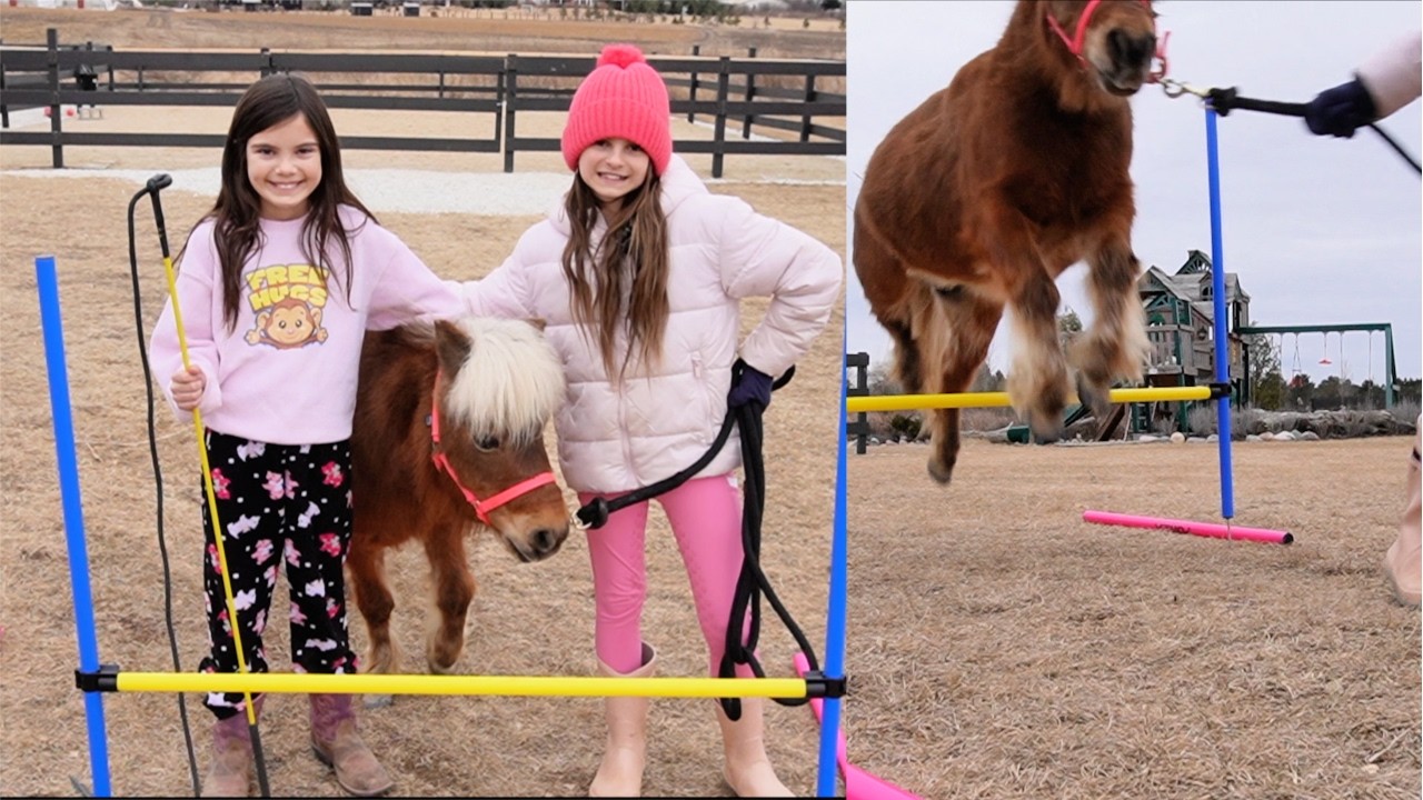 Jumping My Mini Pony - YouTube