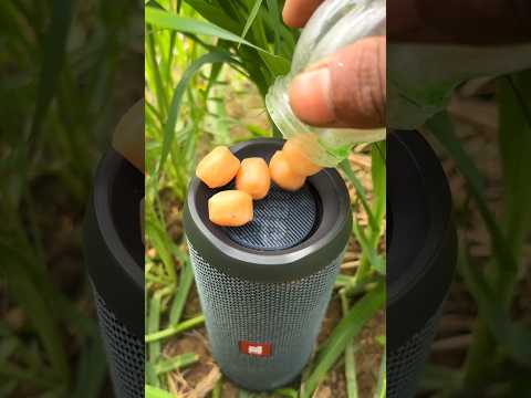 jbl bass test toffee jumping