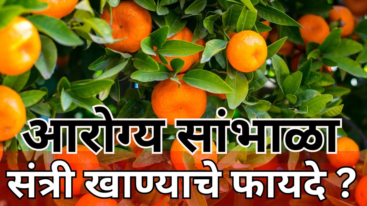 Santri Khanyache Che Fayde | Benefits Of Orange In Marathi | संत्री ...