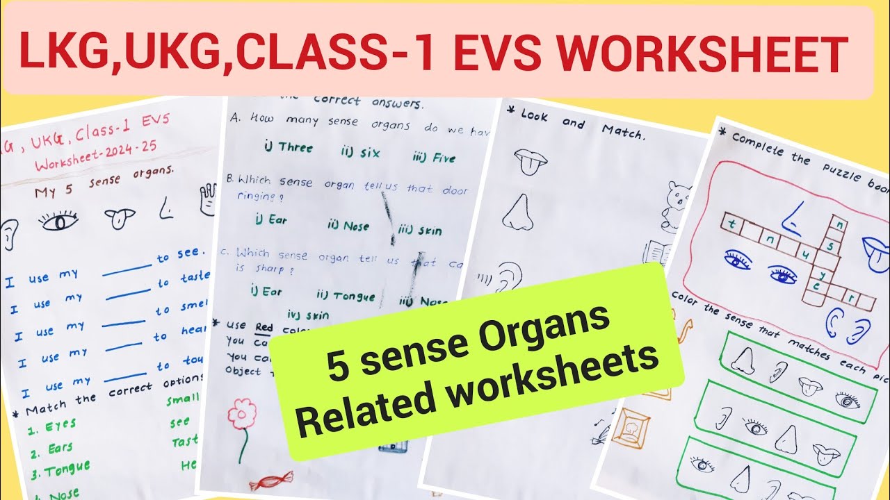 LKG/UKG/Class-1 Evs Worksheets 2024-25/EVS Worksheet For Kids/Evs ...