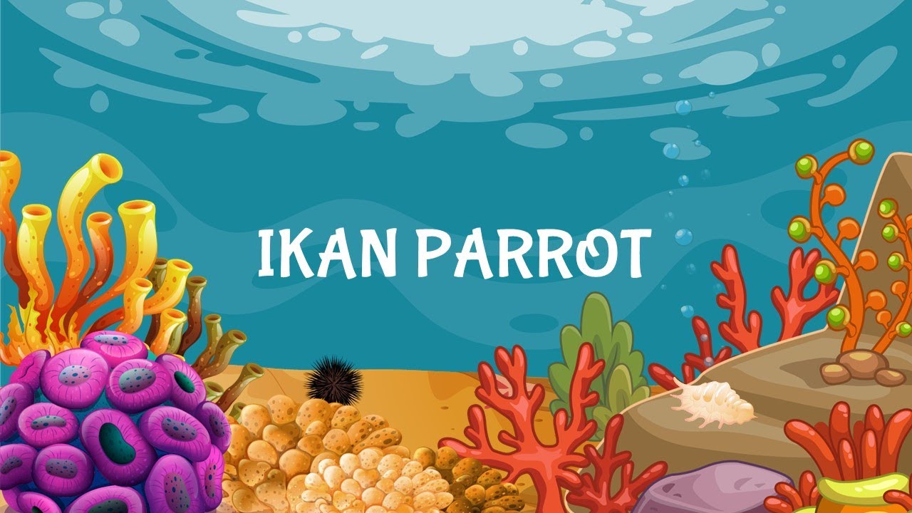 MARI BELAJAR HEWAN PETUALANGAN PENGETAHUAN IKAN PARROT - YouTube