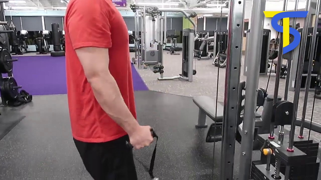 Cable Single Arm Neutral Grip Curl - YouTube
