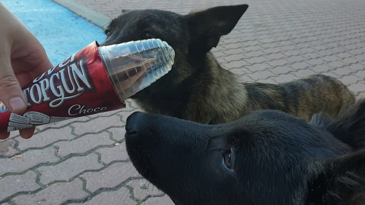 1st day of Crigga & Azura - YouTube