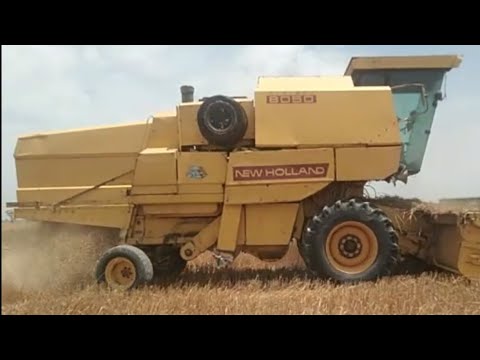 machine gandum katate hue gandum ki katai - YouTube