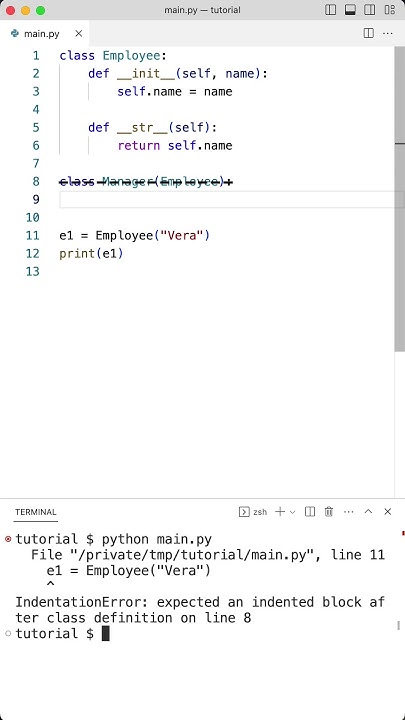 Pass to execute unfinished code in Python - YouTube