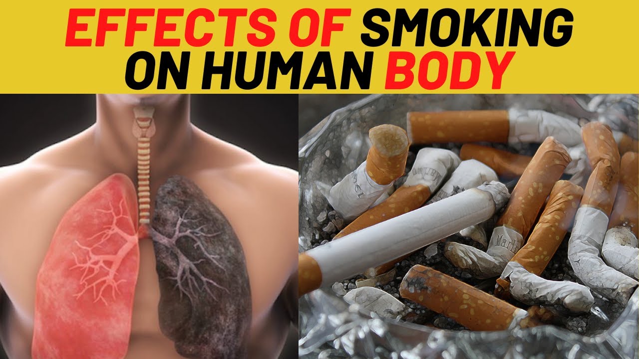 Effect Of Smoking On Human Body - YouTube