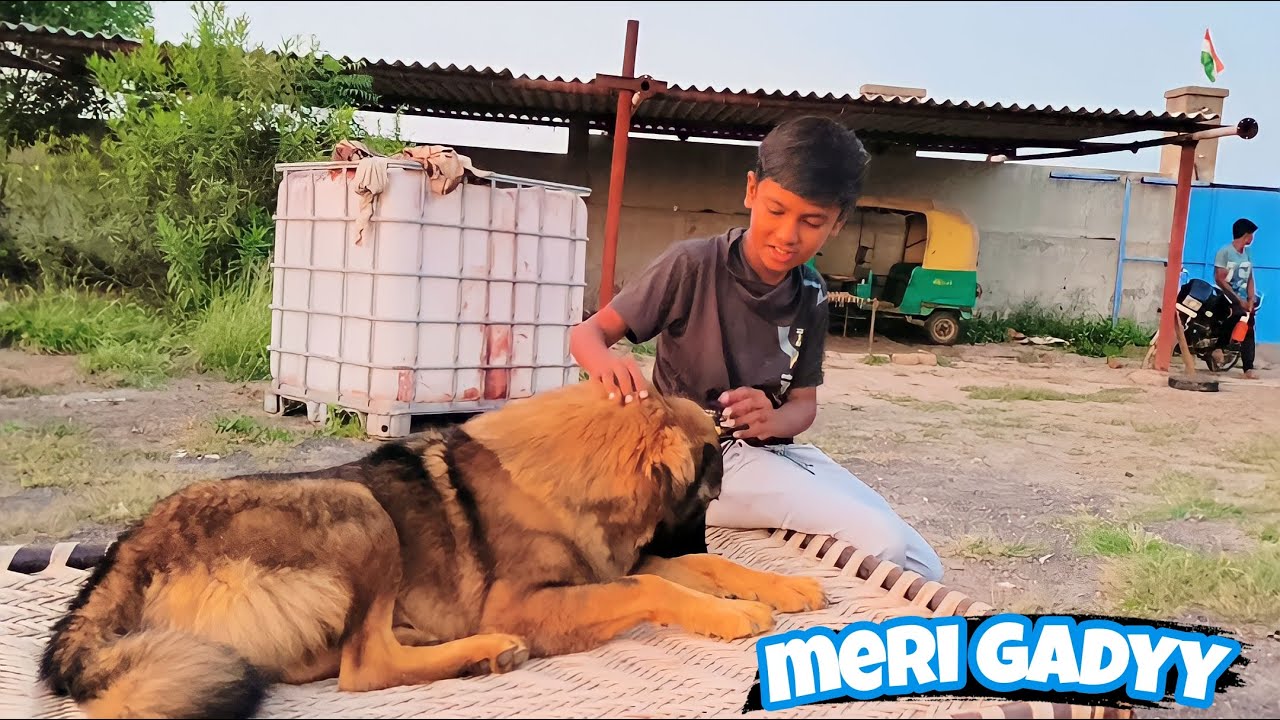 mere doggy ko milne gaye aaj || my gaddy dog vlog || jasmine kathekiya ...