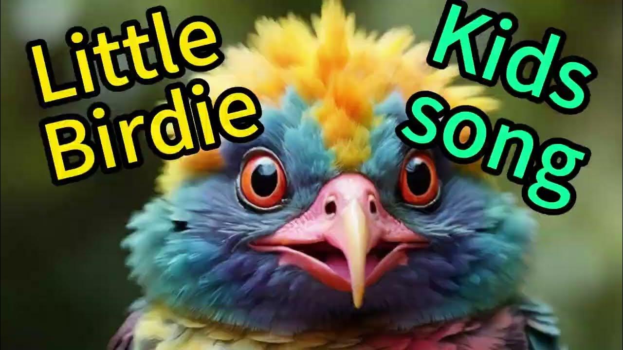 Little Birdie - Bird bird - Kids song - children's music - Kids music ...