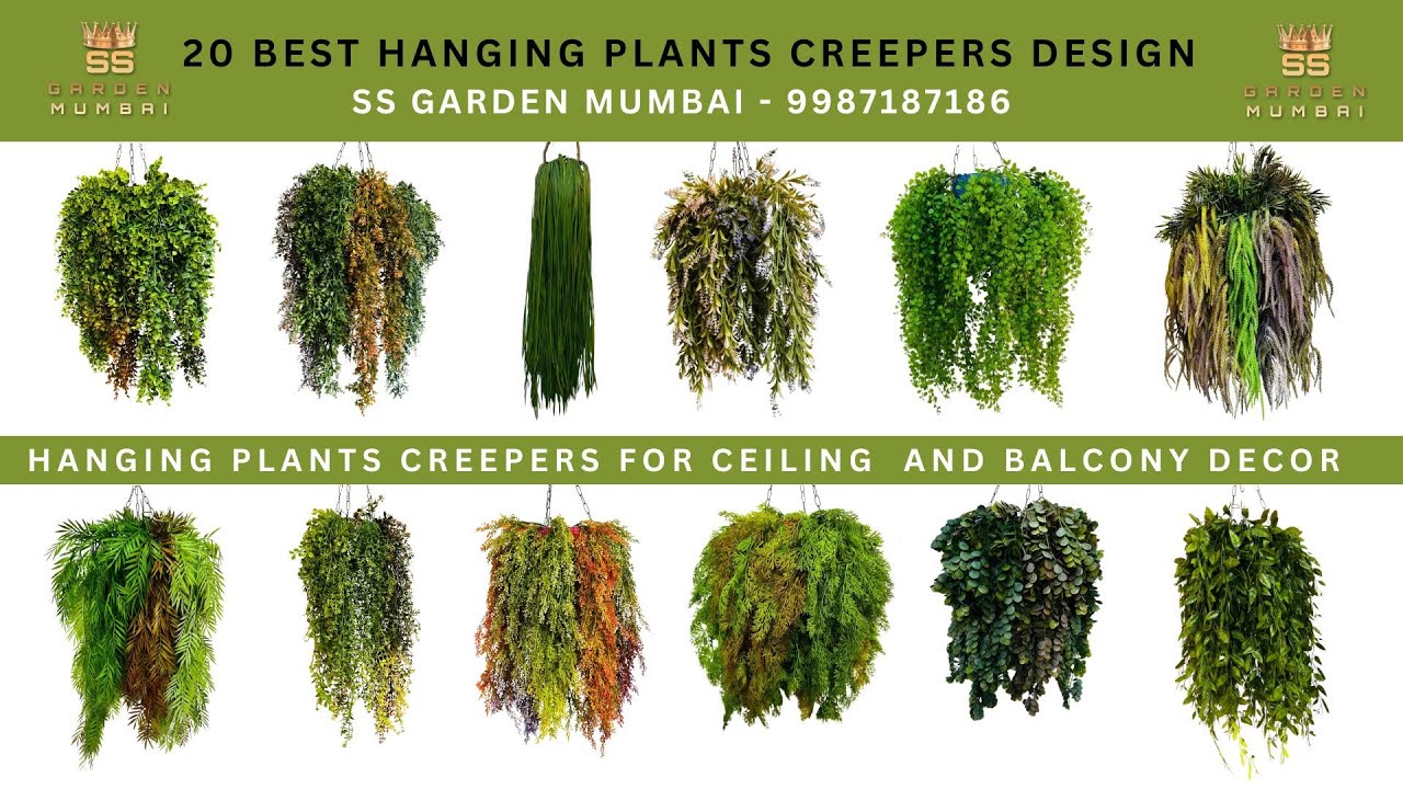 20 Best Artificial Hanging Plants Creepers Design for Ceiling and ...