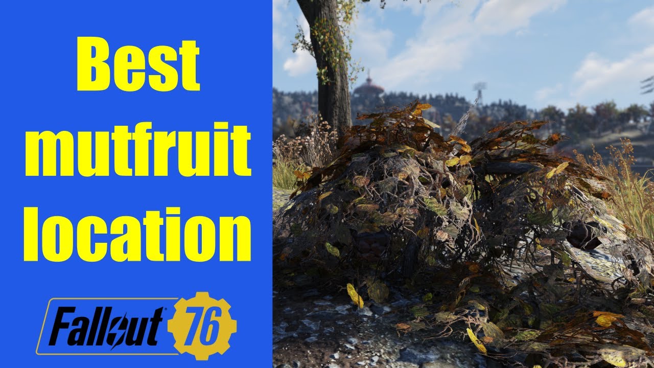 Fallout 76 - Best mutfruit location - YouTube