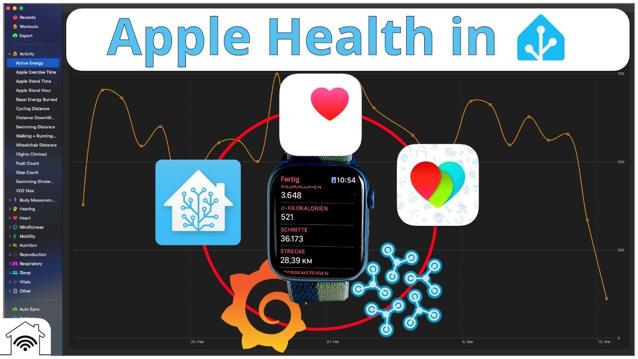 Apple Health Daten in Home Assistant visualisieren mit Health Auto ...