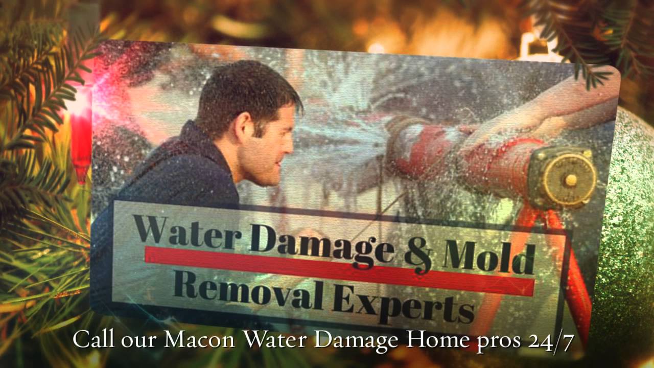 Water damage Restoration Macon and Mold Remediation| Call or text 917 ...