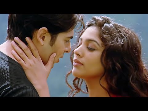 Aapke Pyaar Mein Hum | Dino Morea | Malini Sharma | Alka Yagnik | Raaz (2002)
