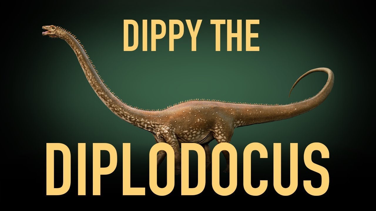 Dippy the Diplodocus- Documentary - YouTube