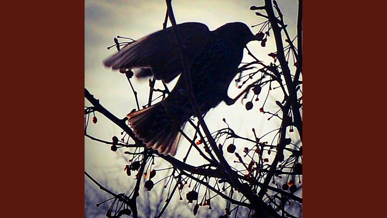 Late December - YouTube