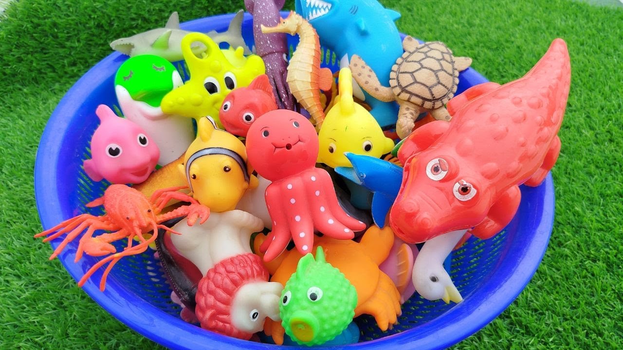 Safari, farm animals with Sea Creatures, Educational Playtime Fun for ...