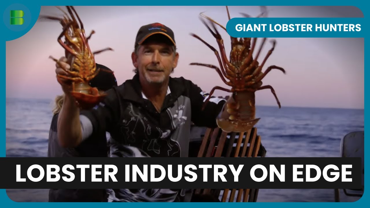 Lobster Industry Faces Tough Challenges | Giant Lobster Hunters - YouTube