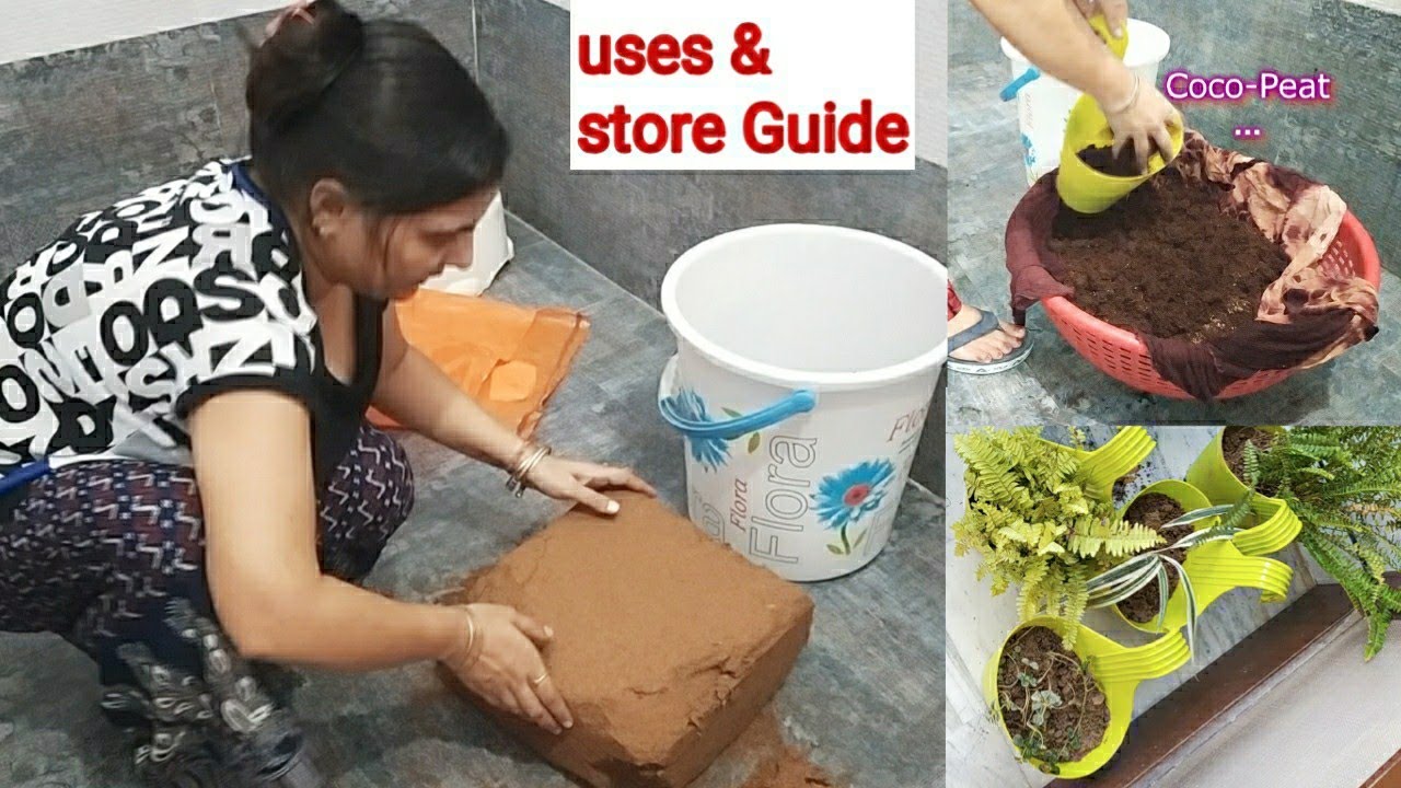 How to prepare Cocopeat for plants/Use & Store soaked wet coco-peat ...