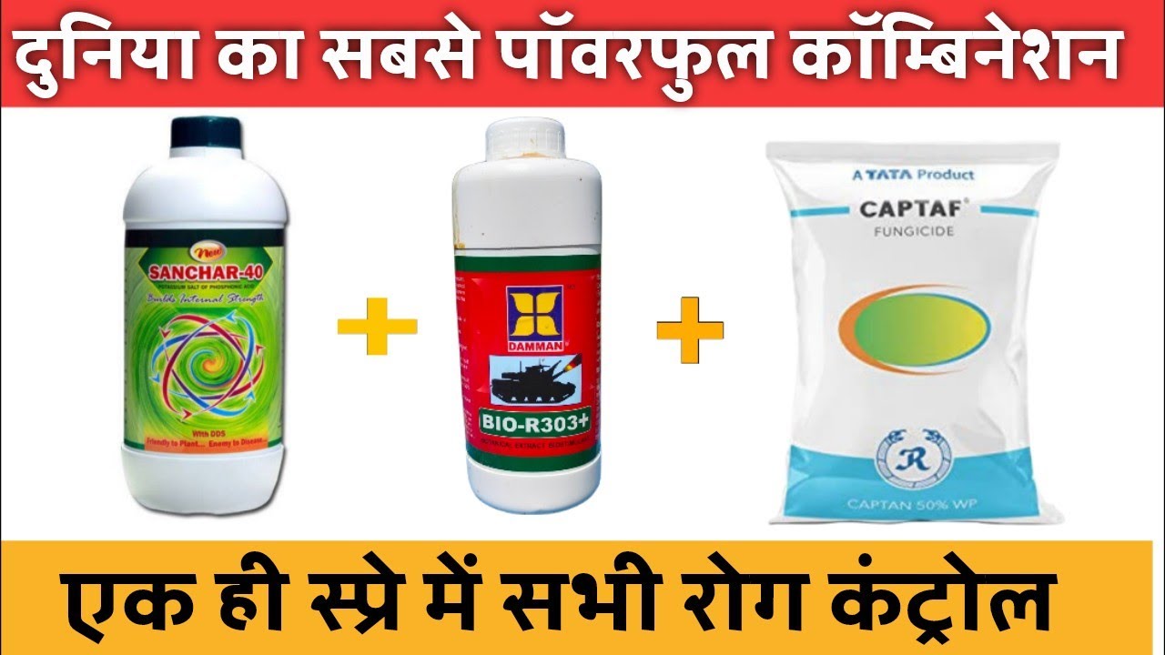 Best fungicide insecticide combination | bio 303 | captan 50 wp ...