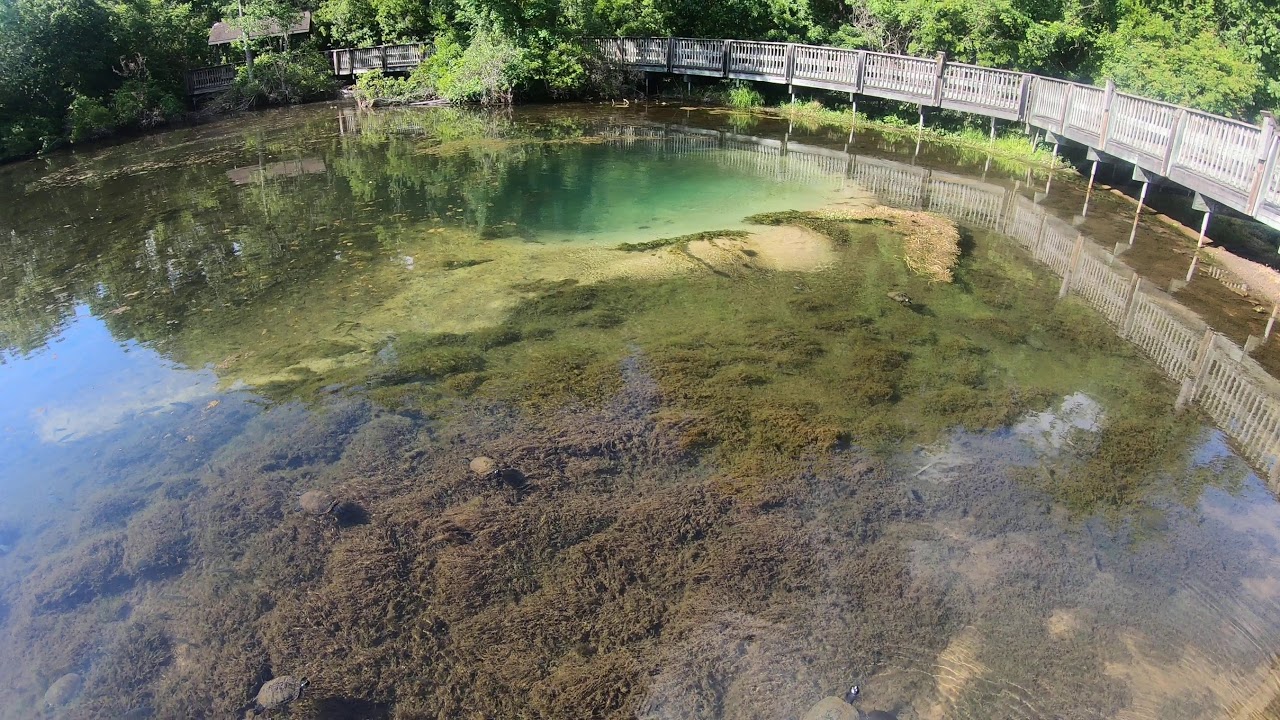 The natural spring @ Magnolia Springs State Park GA - YouTube